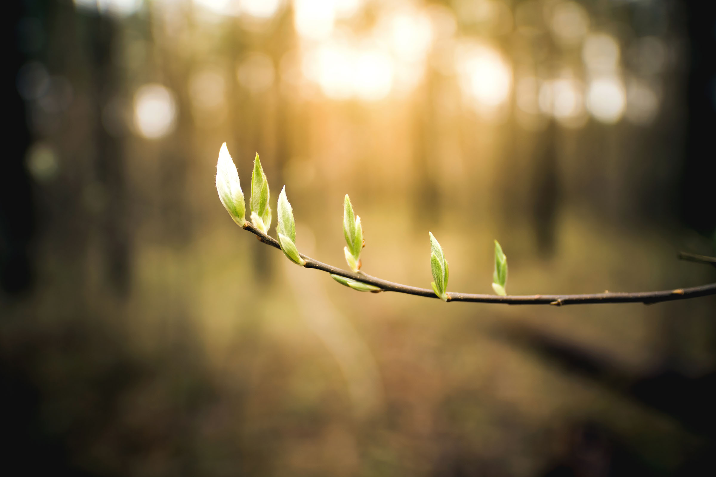 The Path to Healing: Pamela Good's Transformative Faith Journey ...